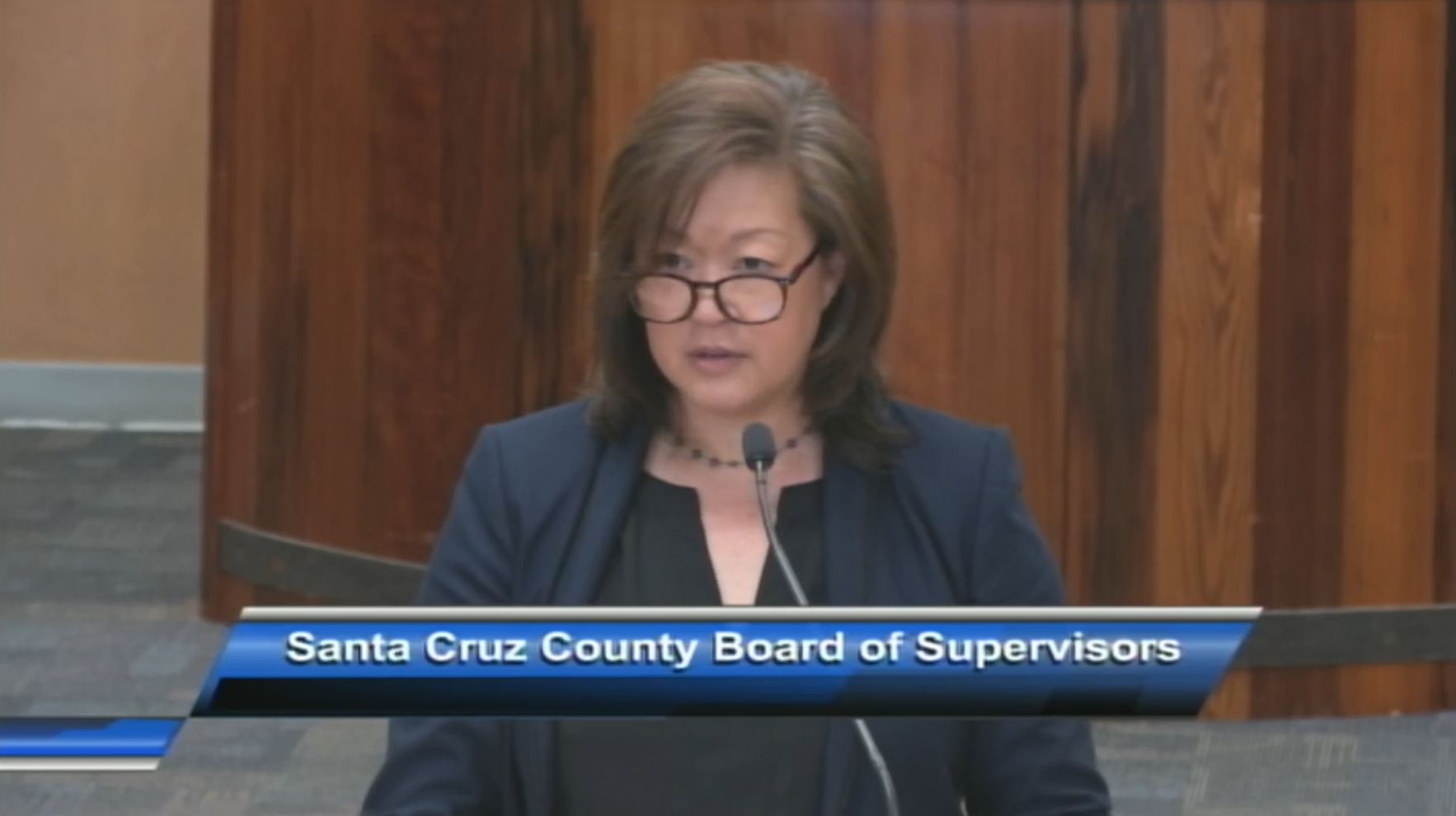 Global lessons for Santa Cruz in the COVID-19 response - Santa Cruz Local