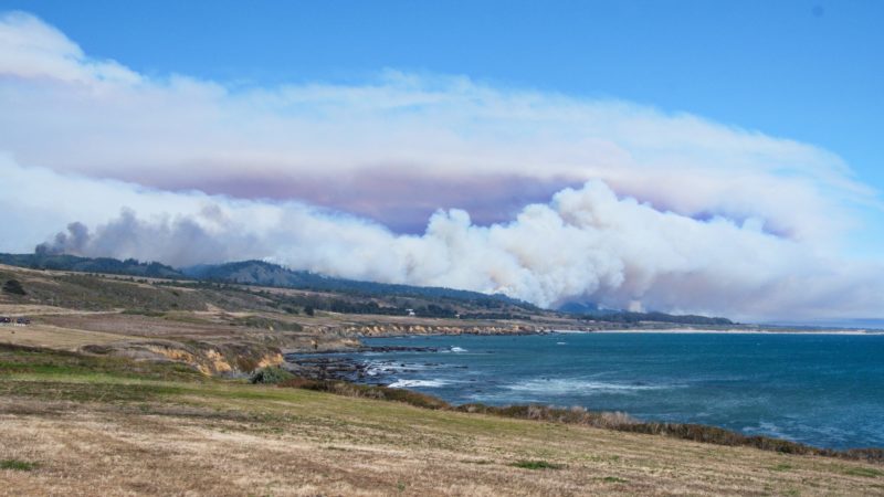 CZU Fire rebuild process honed by Santa Cruz County leaders - Santa ...