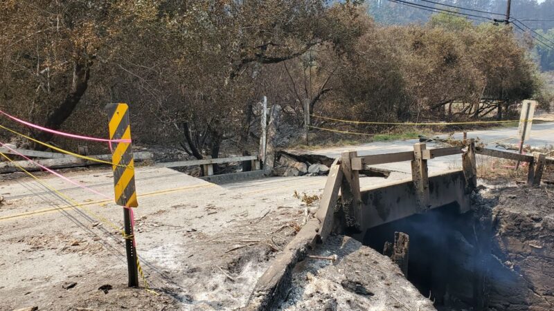 News - Santa Cruz Local