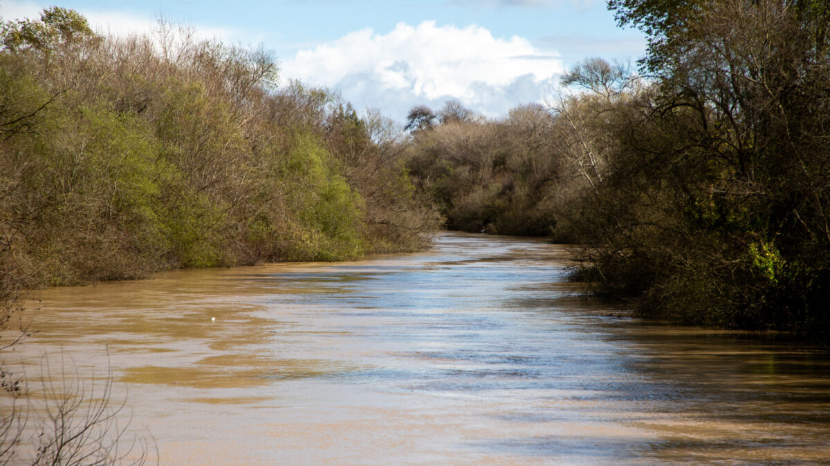 As rain continues in Santa Cruz County, how to check river water levels ...